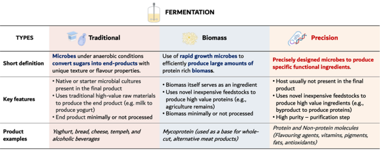 Precision fermentation: A Guide for Endless Opportunities to Reshape ...